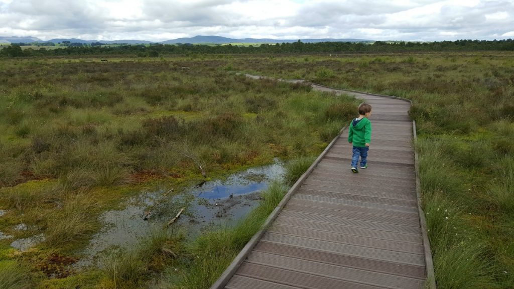 Accessible Scottish Walks: Flanders Moss - Simply Emma