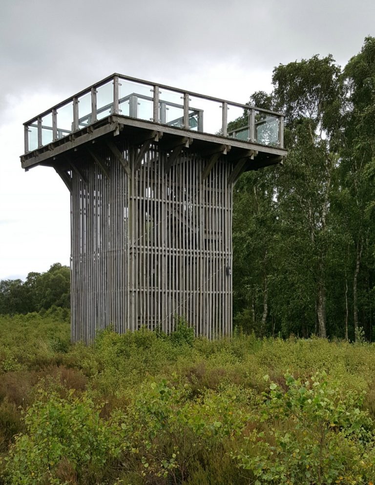 Accessible Scottish Walks: Flanders Moss - Simply Emma