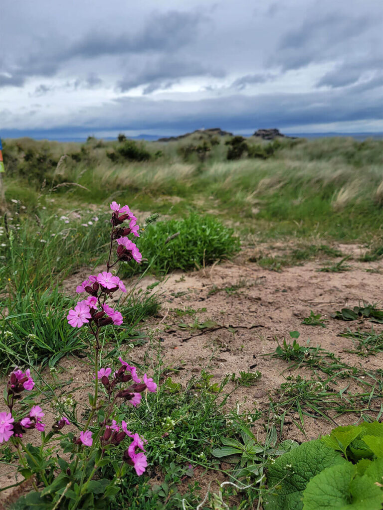 8 Wheelchair Accessible Things to Do in East Lothian (and where to stay)